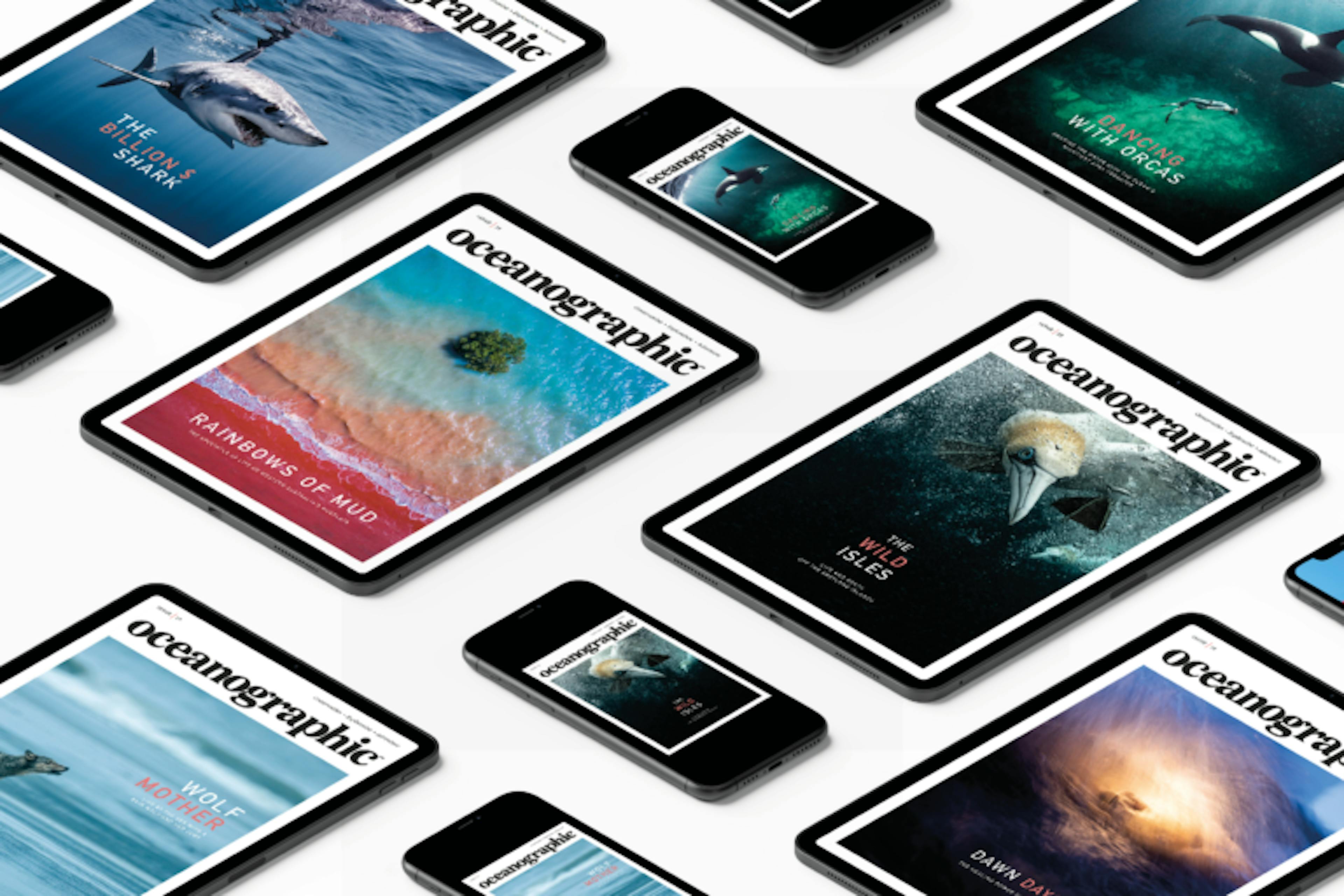 Only One - Help save the ocean and fix the climate