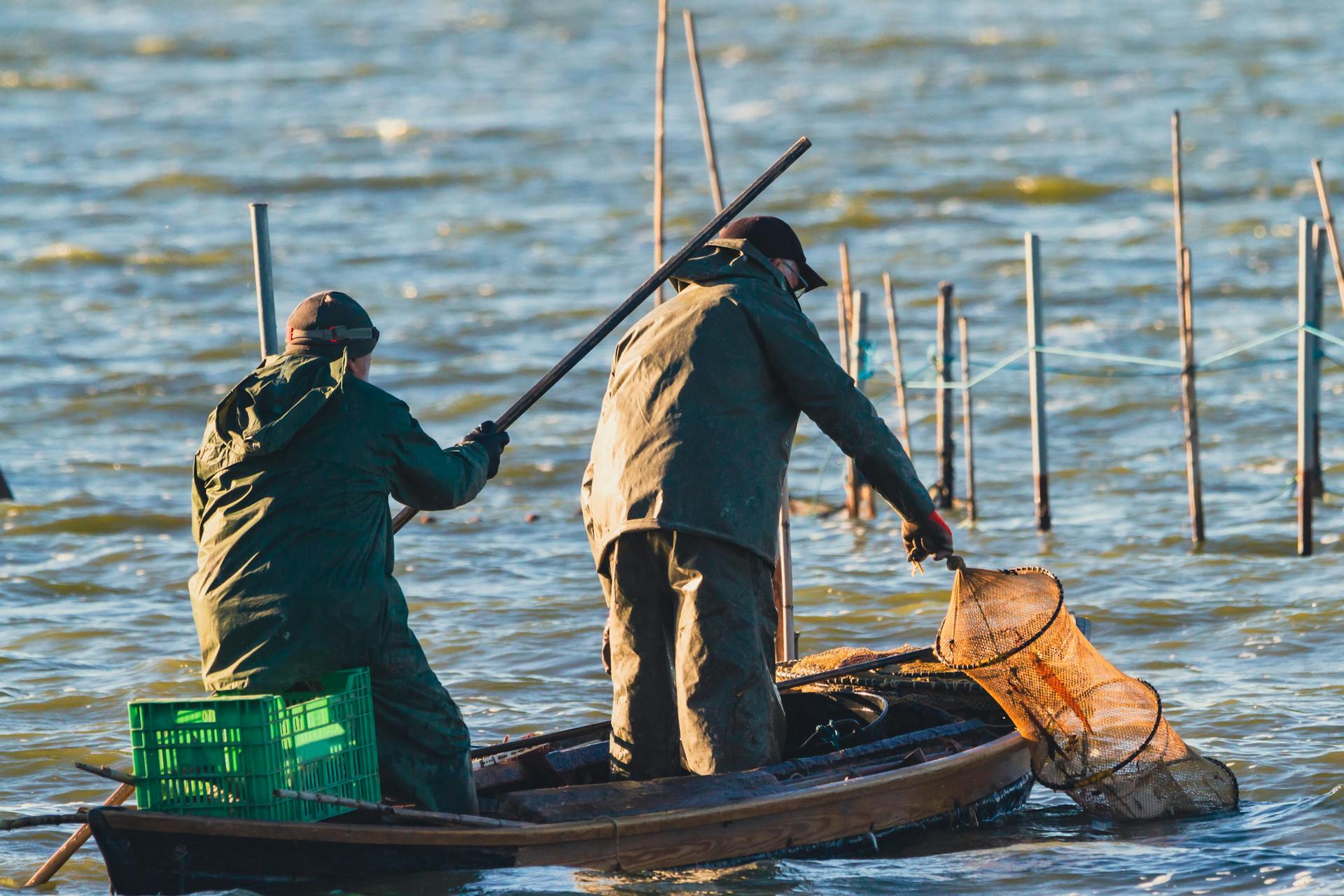 Urge the EU Commission to End Destructive Fishing in Protected Waters