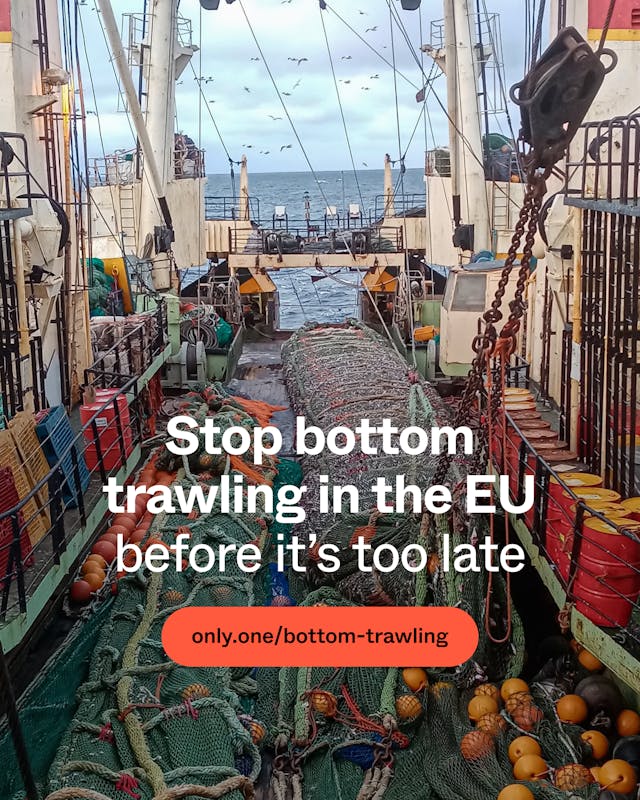 Share the appeal to ban bottom trawling in the EU
