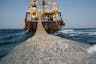 What is bottom trawling and why is it a problem?