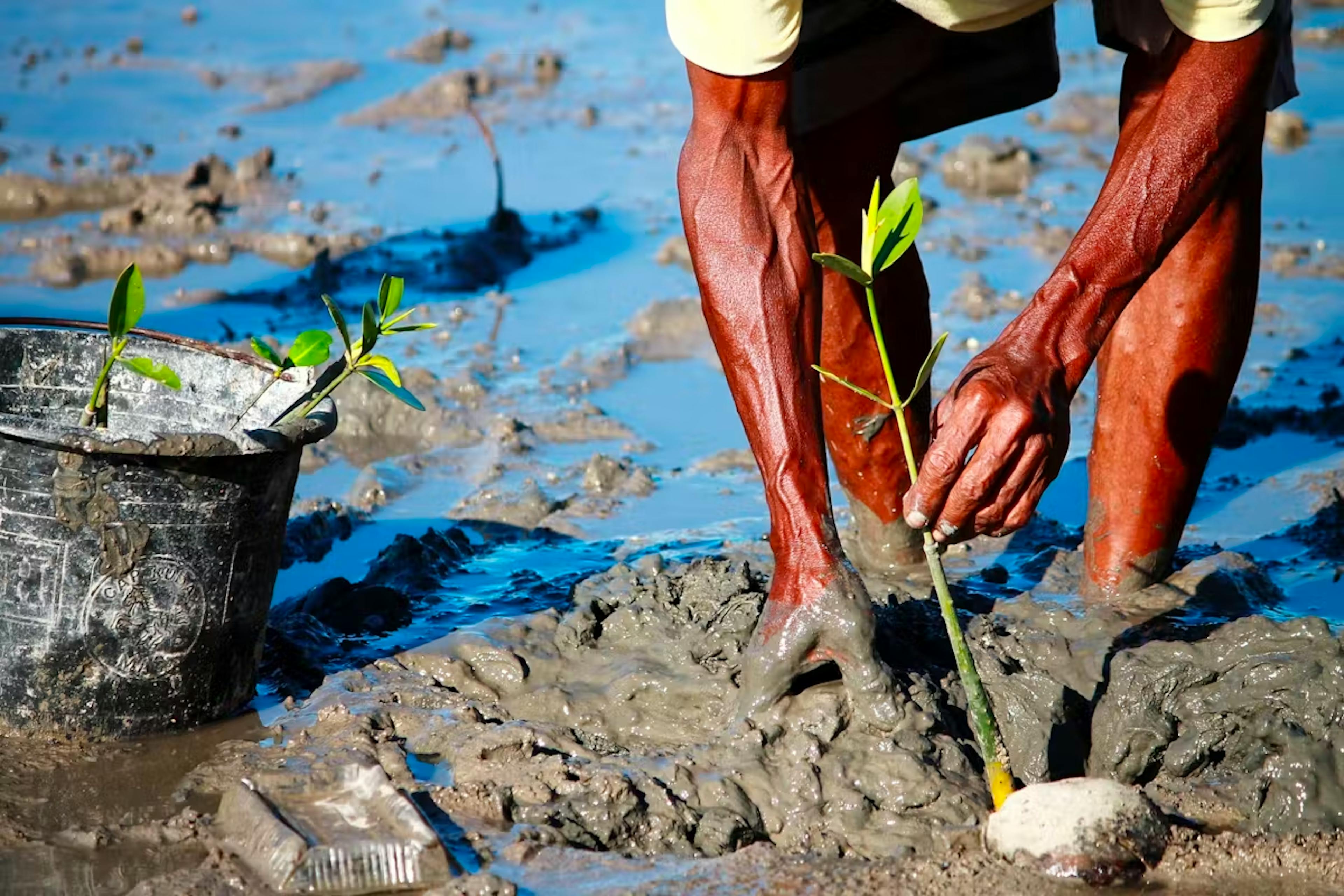 Help restore the ocean and tackle the climate crisis