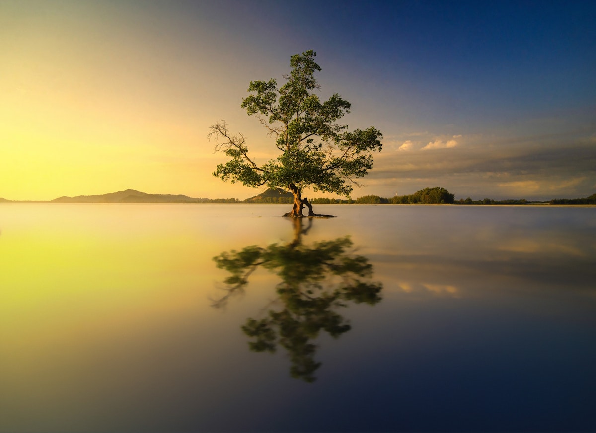 The case for climate optimism