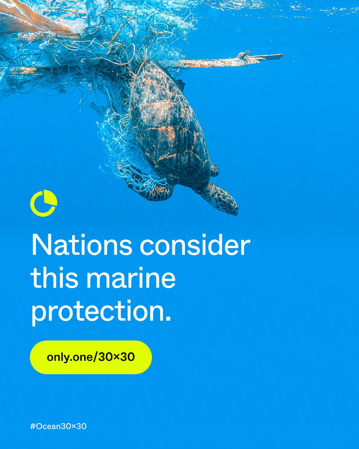 Protect 30% of the ocean by 2030
