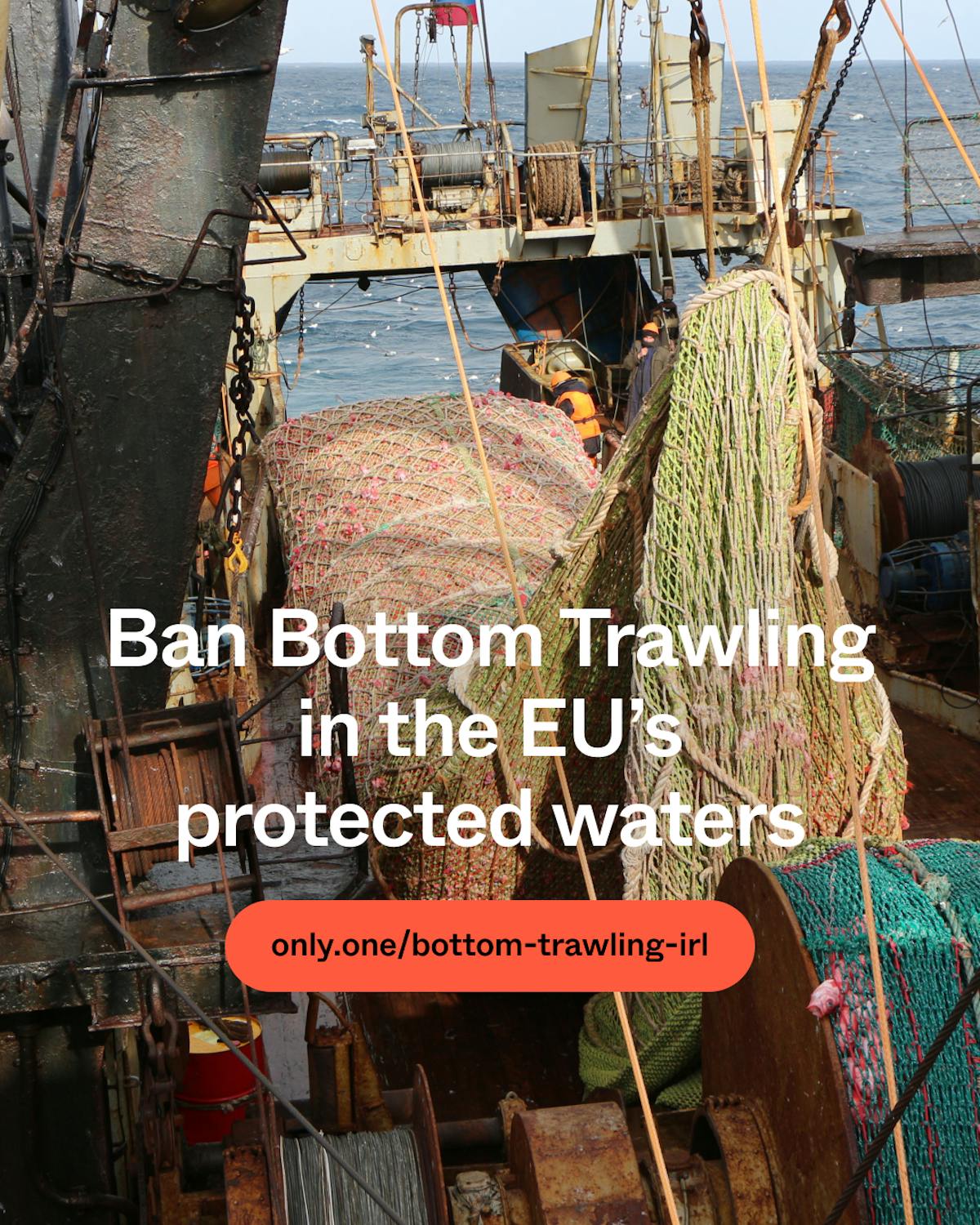 Share the appeal to ban bottom trawling in EU protected waters