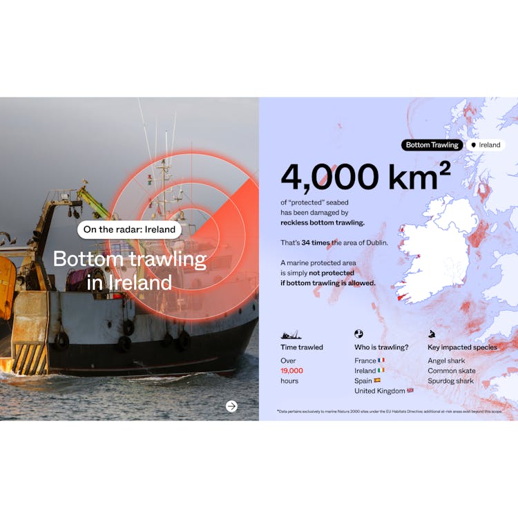 Share the appeal to ban bottom trawling in EU protected waters