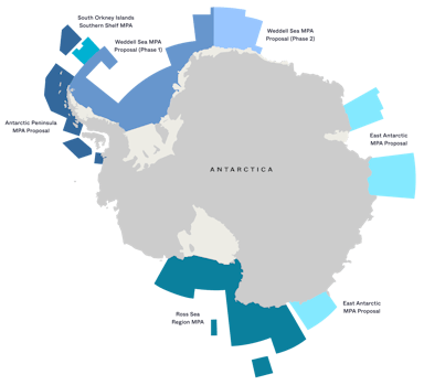 Protect Antarctica to Secure the Largest Act of Ocean Protection in History
