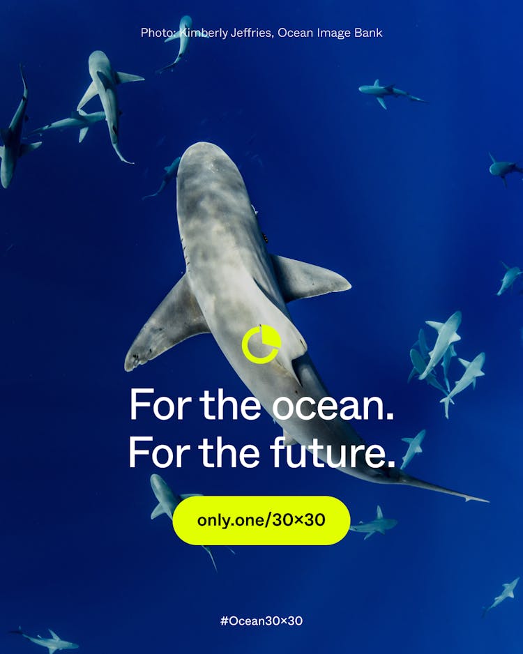 Protect 30% of the ocean by 2030