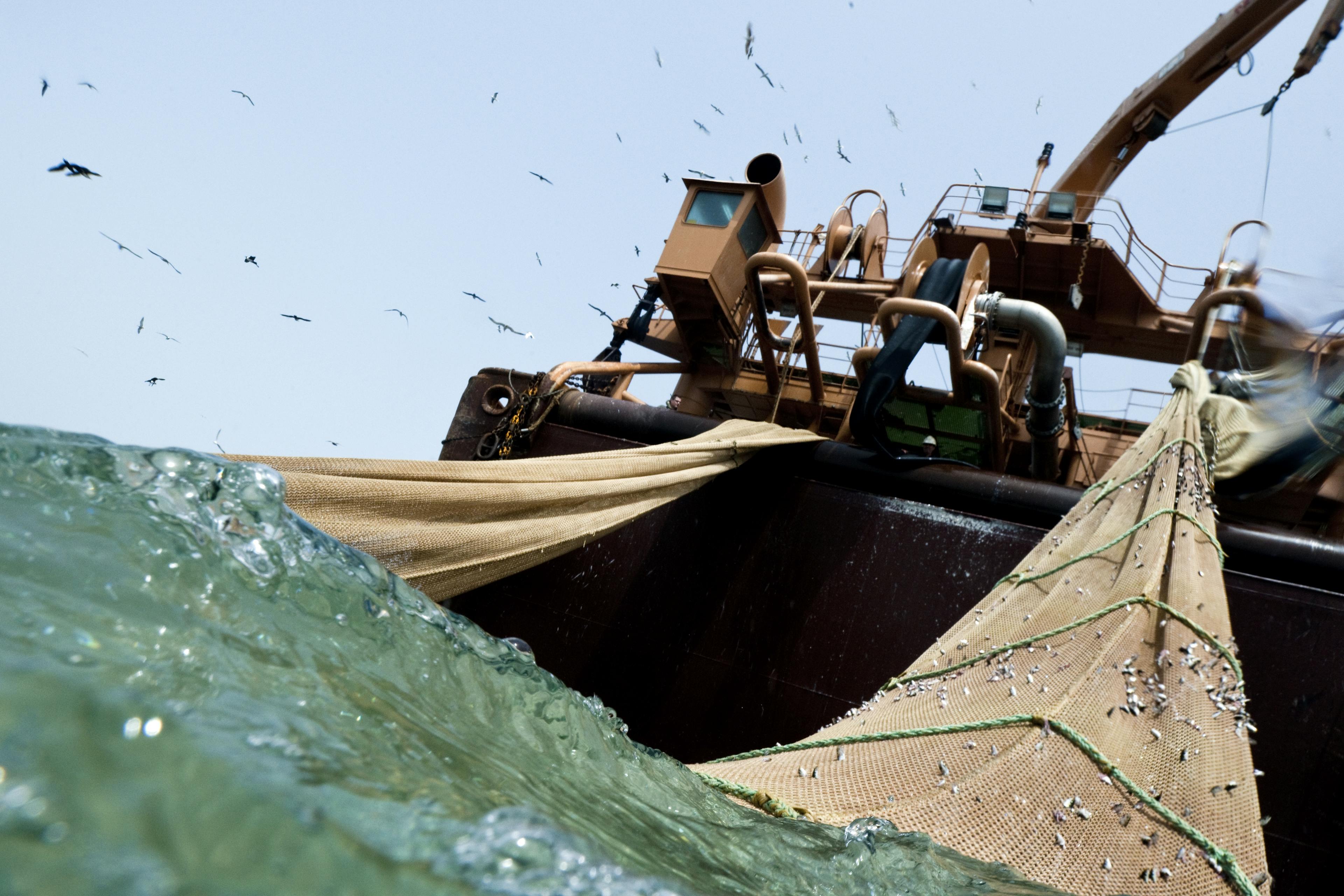 Urge the EU Commission to End Destructive Fishing in Protected Waters