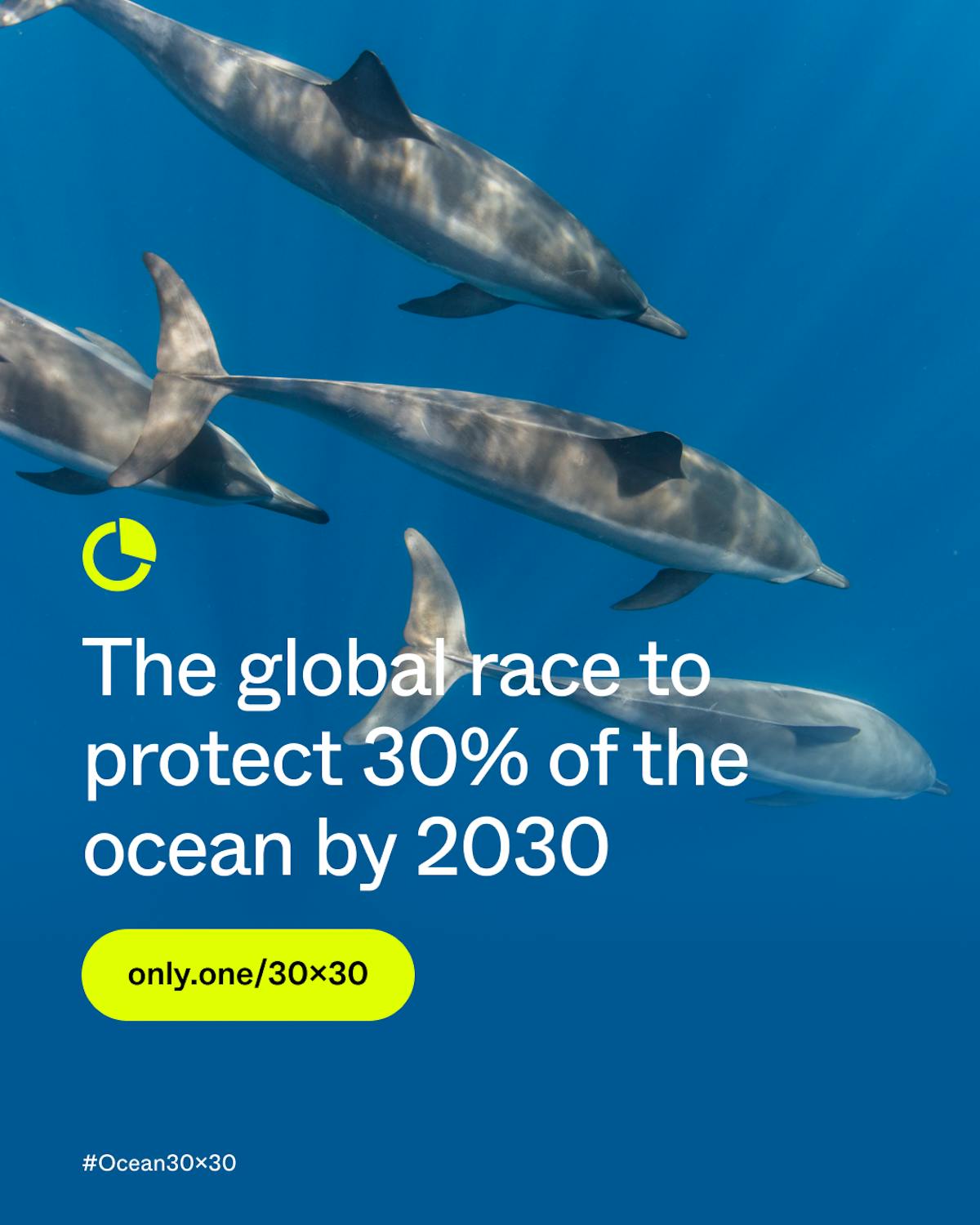 Protect 30% of the ocean by 2030