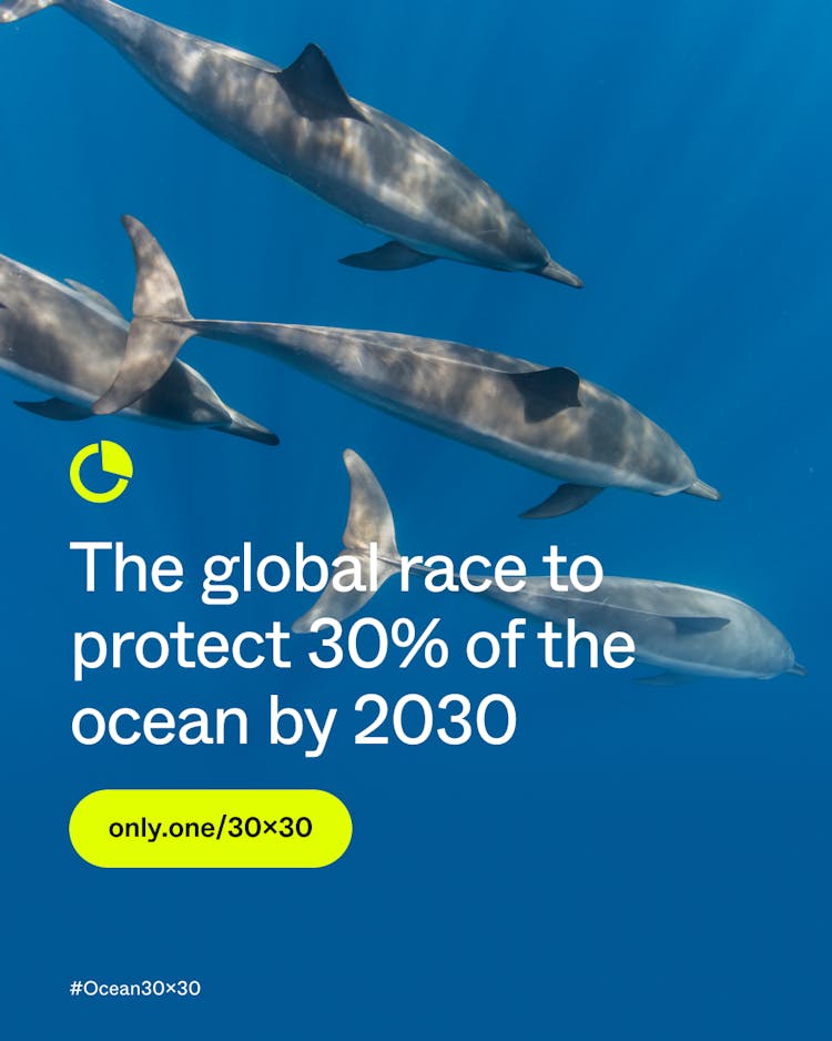 Protect 30% of the ocean by 2030