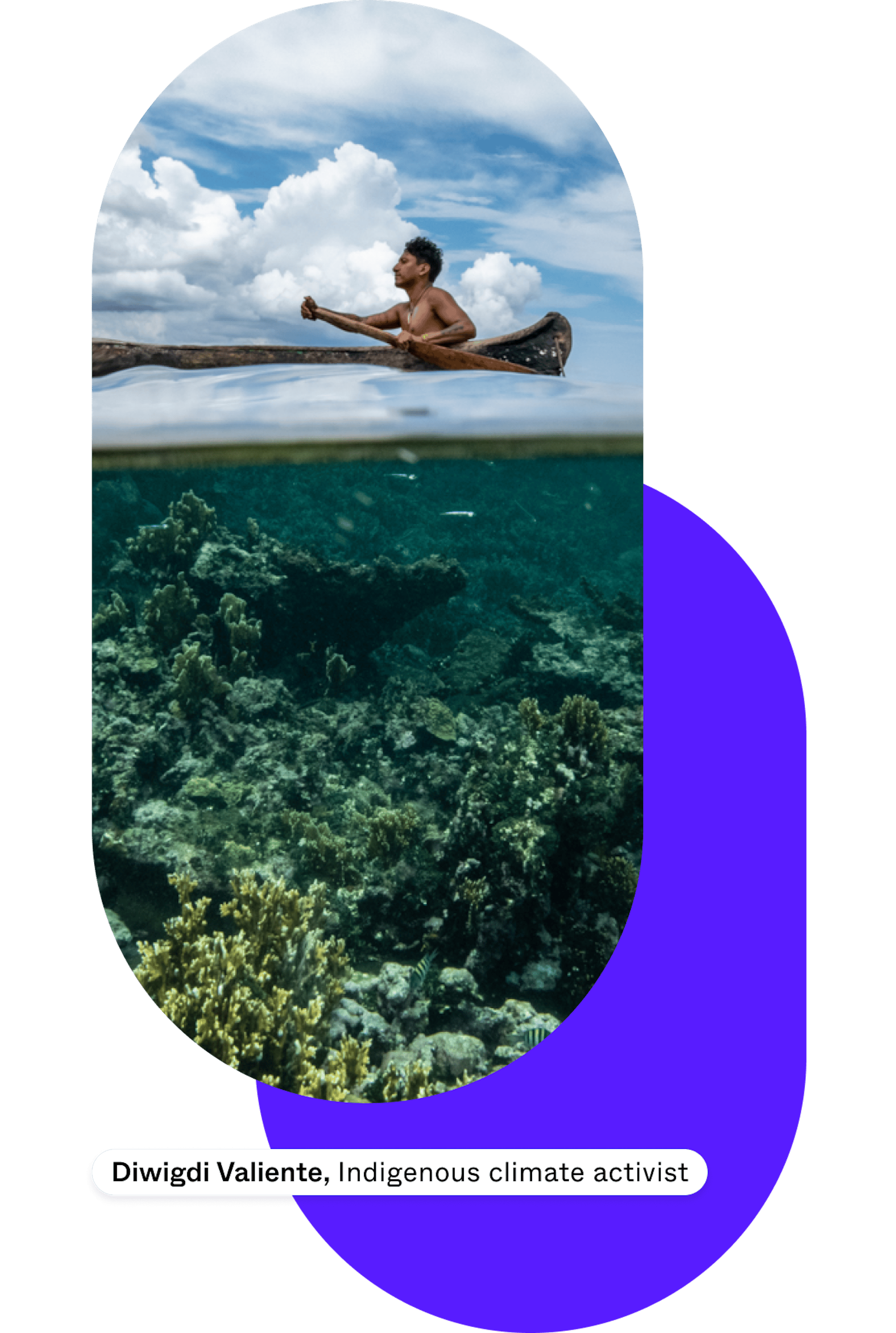 Only One - Help save the ocean and fix the climate