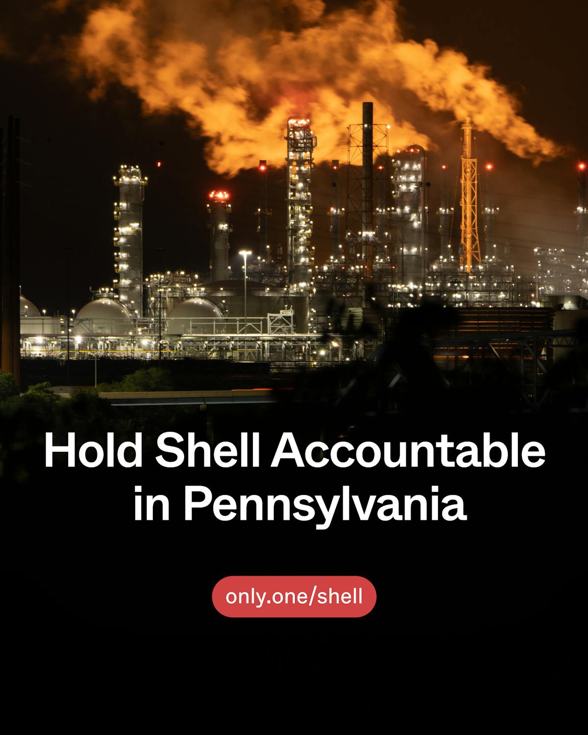 Hold Shell Accountable