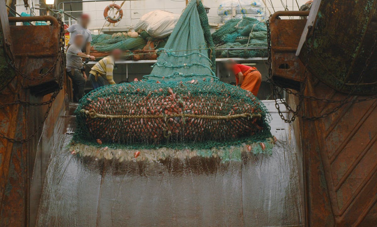 Take action on Only One